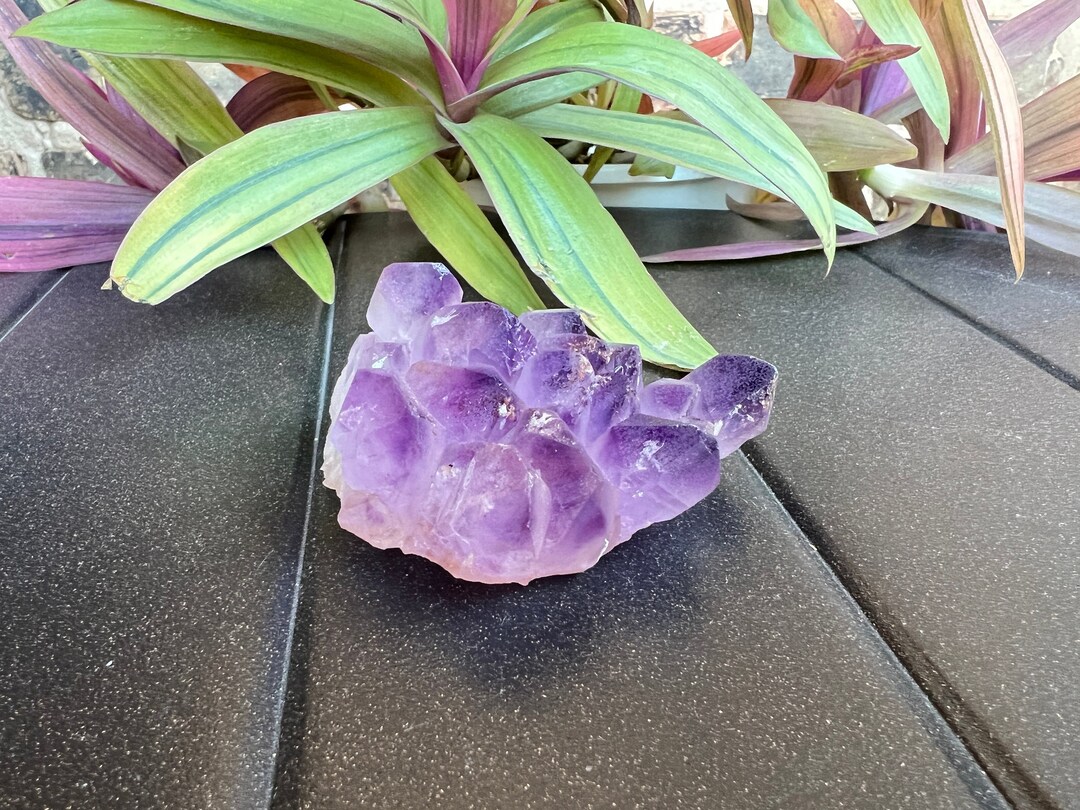 Skeletal Amethyst Phantom Specimen Crystal Brazil - Etsy