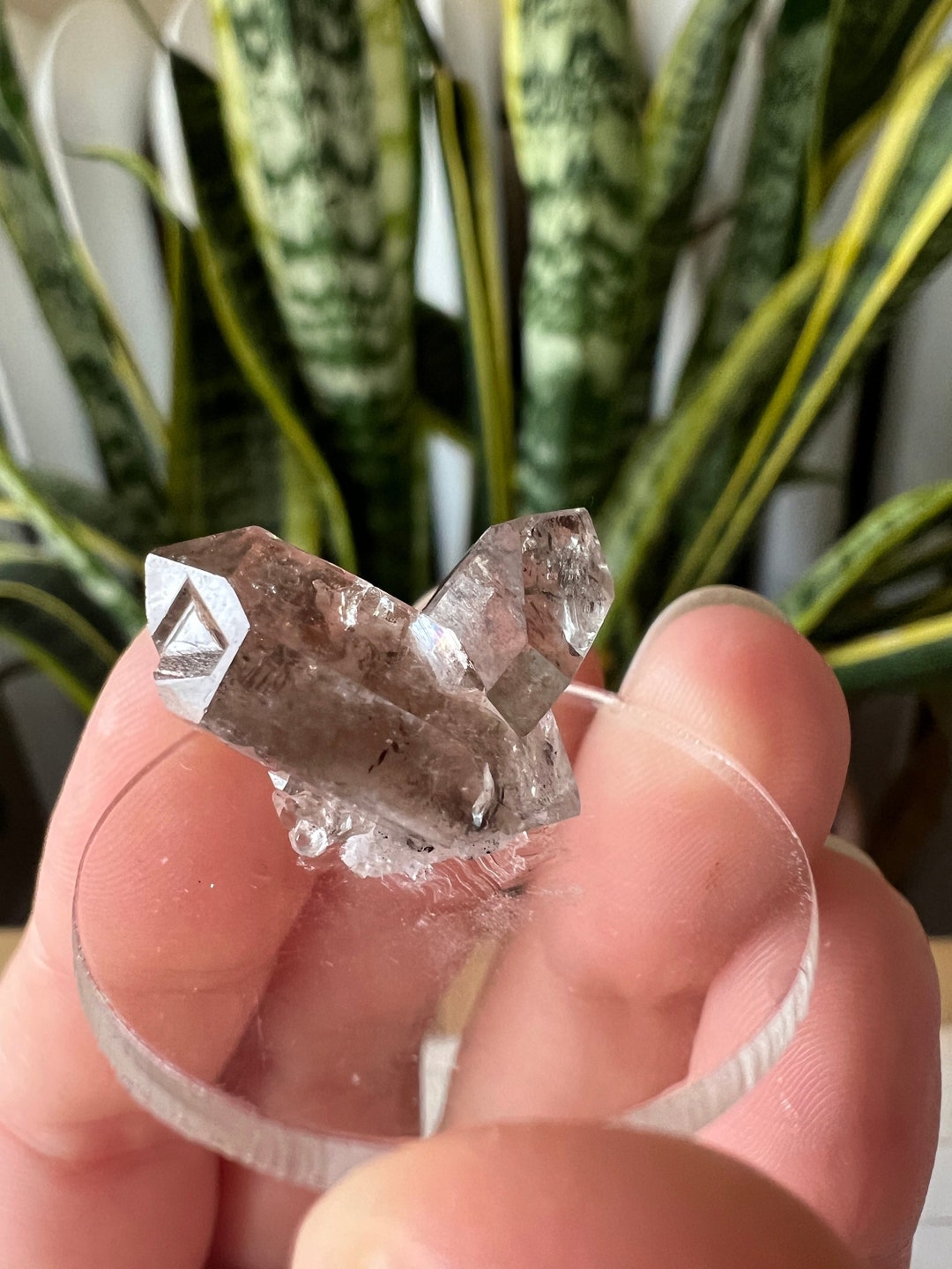 Herkimer Mini Black Diamond Quartz Cluster Hydrocarbon Anthraxolite ...
