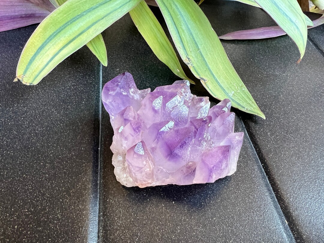 Skeletal Amethyst Phantom Specimen Crystal Brazil - Etsy
