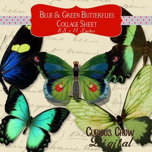 Blue and Green Butterflies Digital Collage Sheet - INSTANT Printable ...