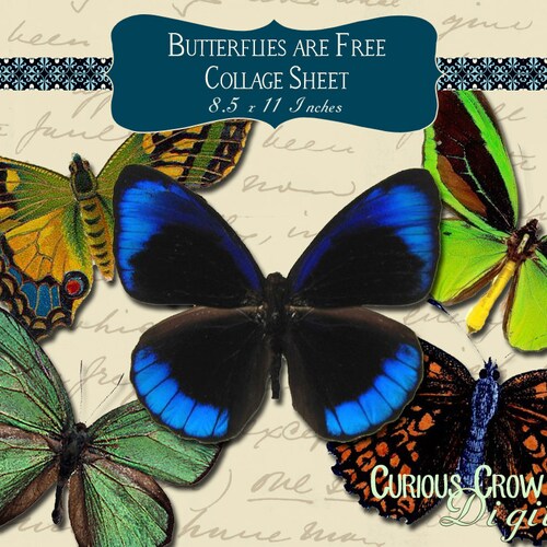 Printable Butterflies Collage Sheet Digital Scrapbooking - Etsy