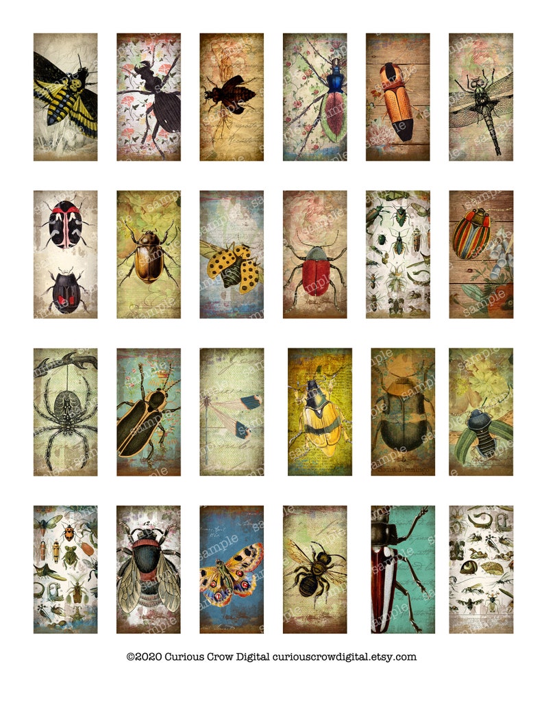 Vintage Insects 1 X 2 Inch 25mmx50mm Domino Digital Collage - Etsy