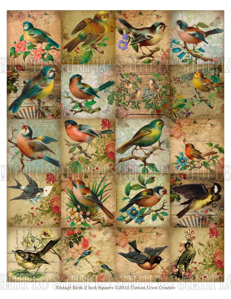 Vintage Birds 2 Inch 50mm Squares Digital Collage Sheet INSTANT ...