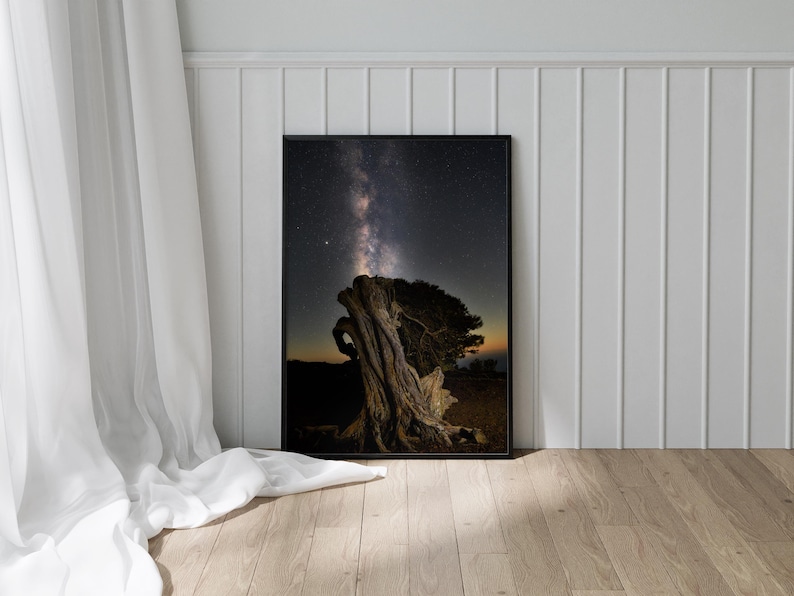 Milky Way Rising Over an Ancient Tree| Fine Art Print | Vertical ...