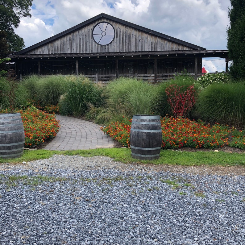 ALCOHOL INK VINEYARD Grapes Plein Air Painting Fruitful Vine - Etsy