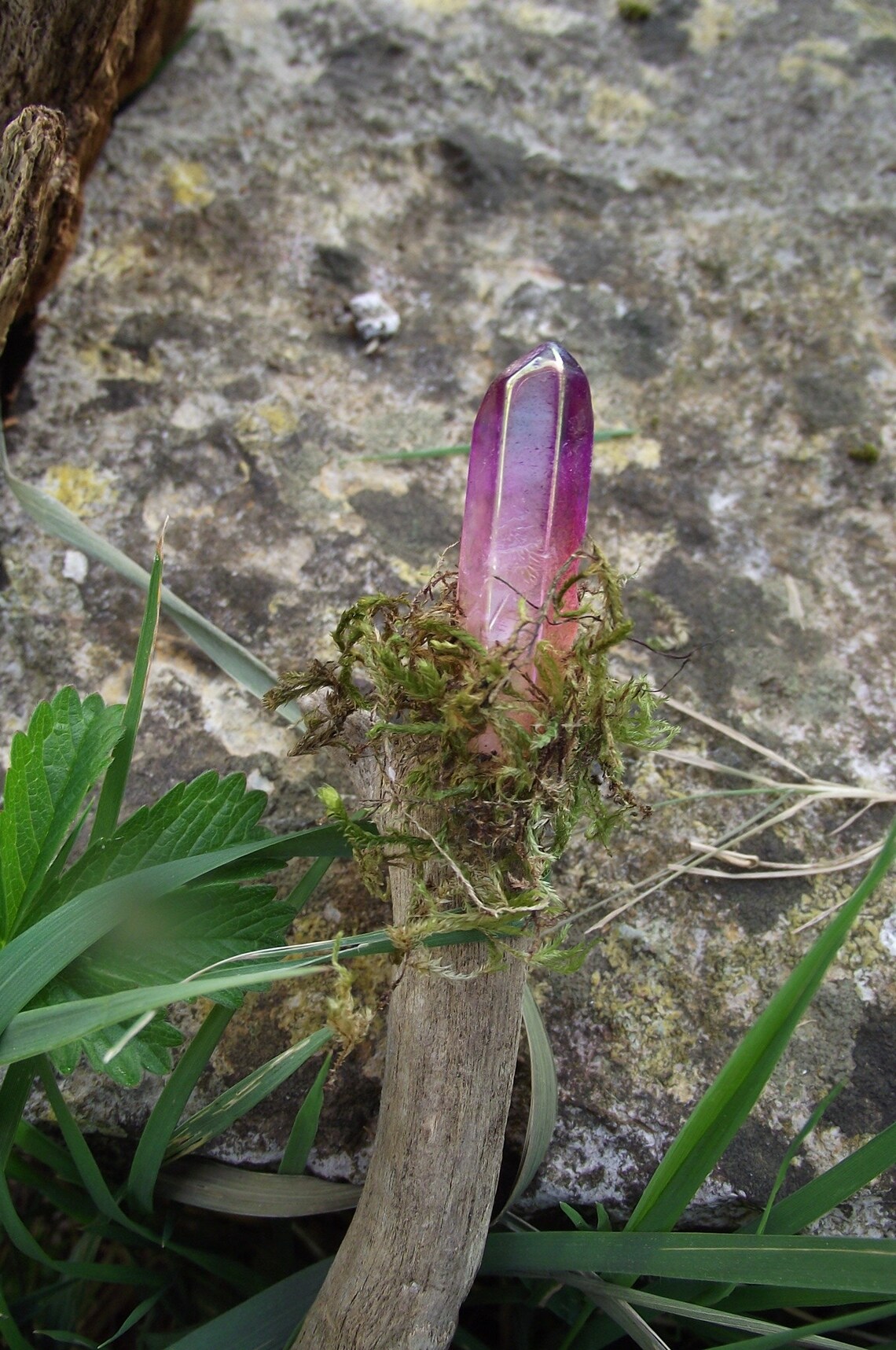 Daughter of the Forest Wand Elf Wand Woodland Magic Faery | Etsy