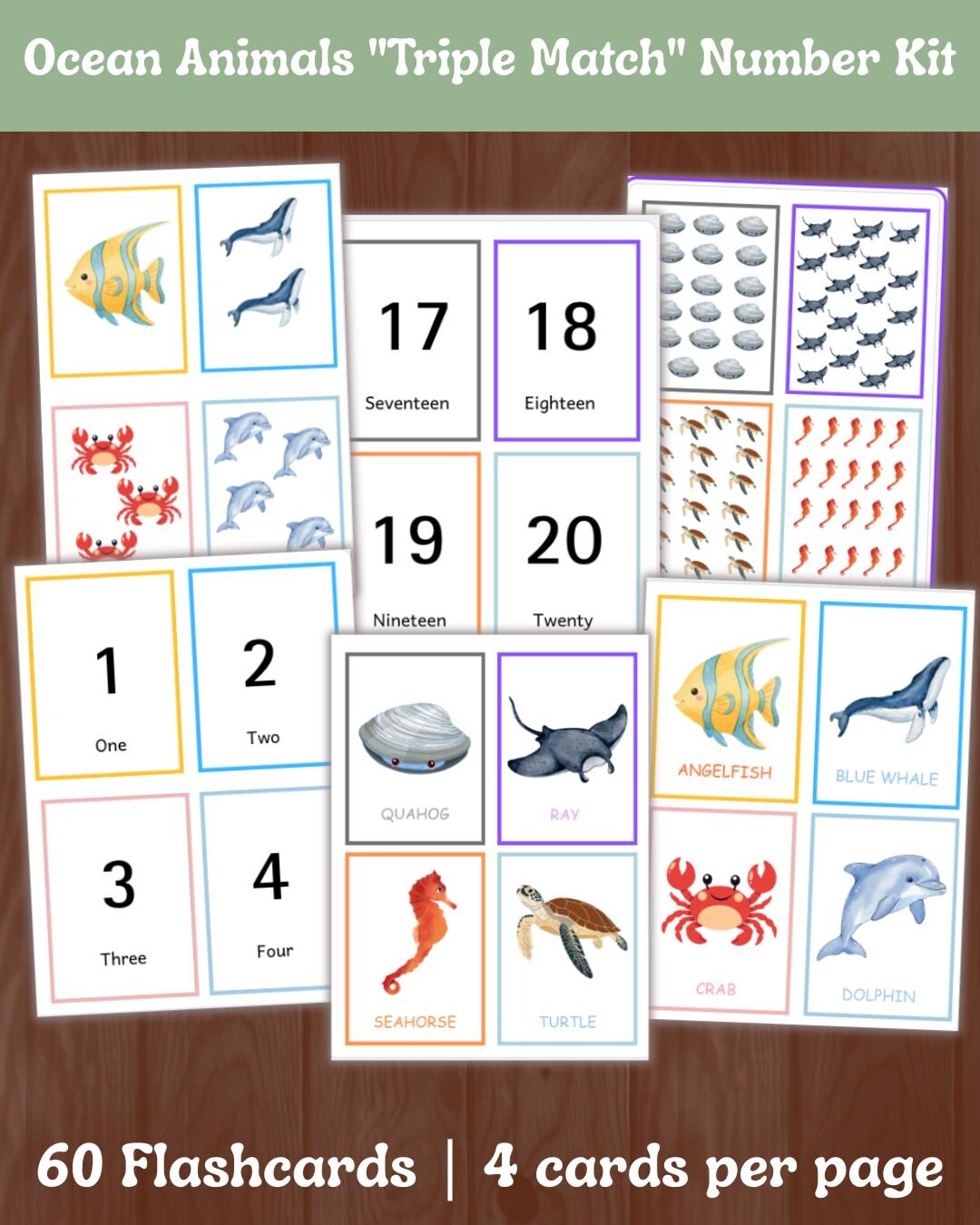 Ocean Animals "triple Match" Number Kit | 60 Flashcards | 1-20 Numbers ...