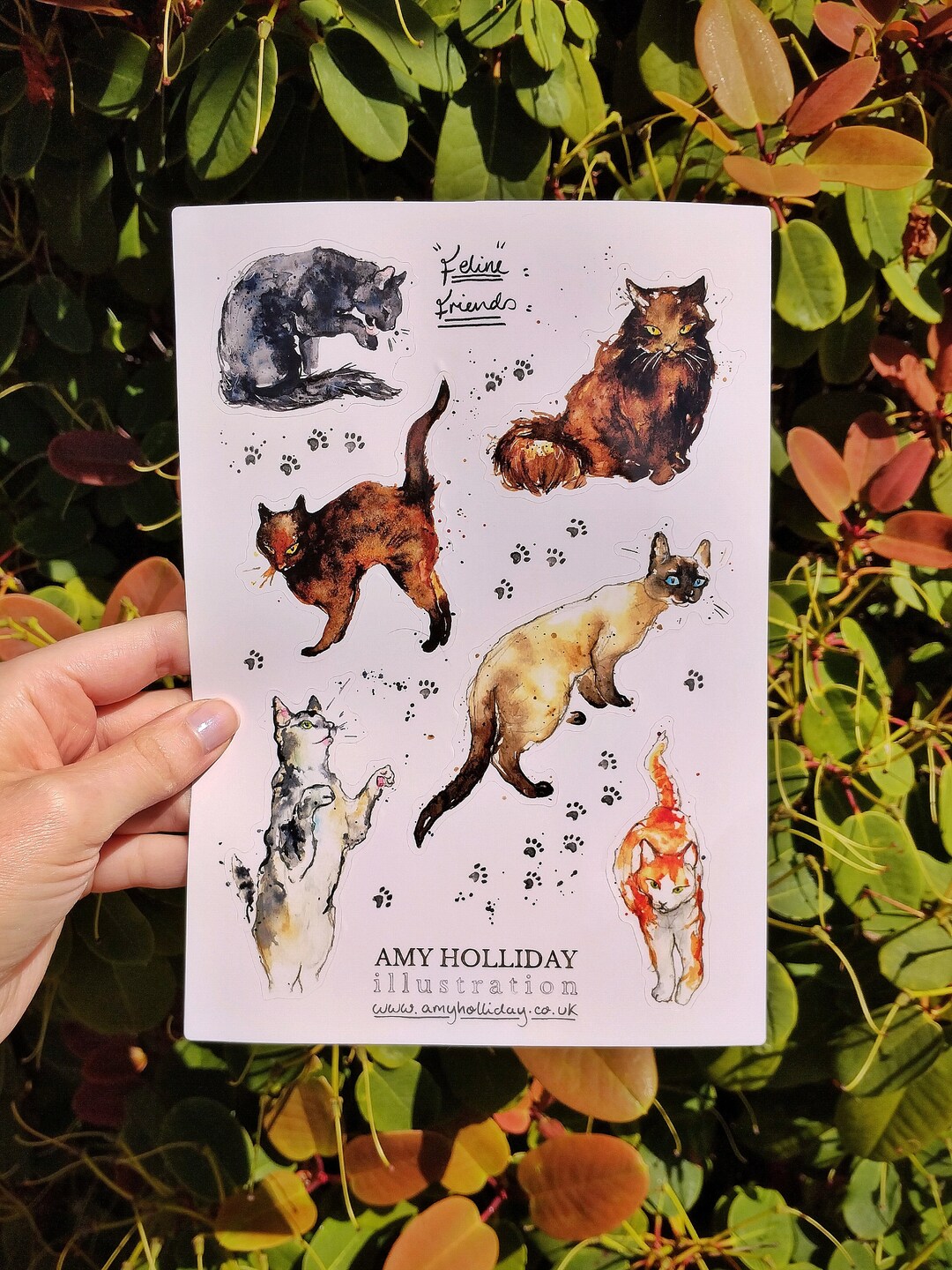 Feline Friends - Cats A5 Sticker Sheet - CLEAR or WHITE - Watercolour ...
