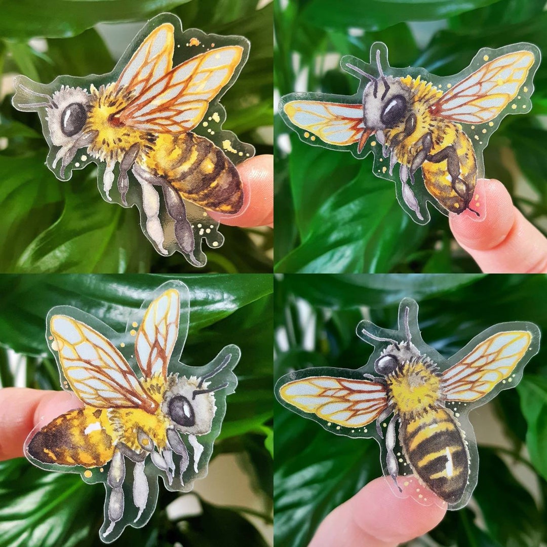 Set of 4 Watercolour Honey Bee Transparent Stickers | Weatherproof ...