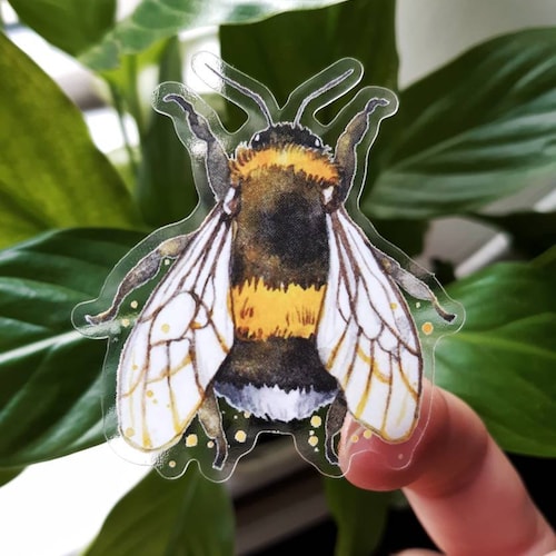 Set of 4 Watercolour Honey Bee Transparent Stickers - Etsy