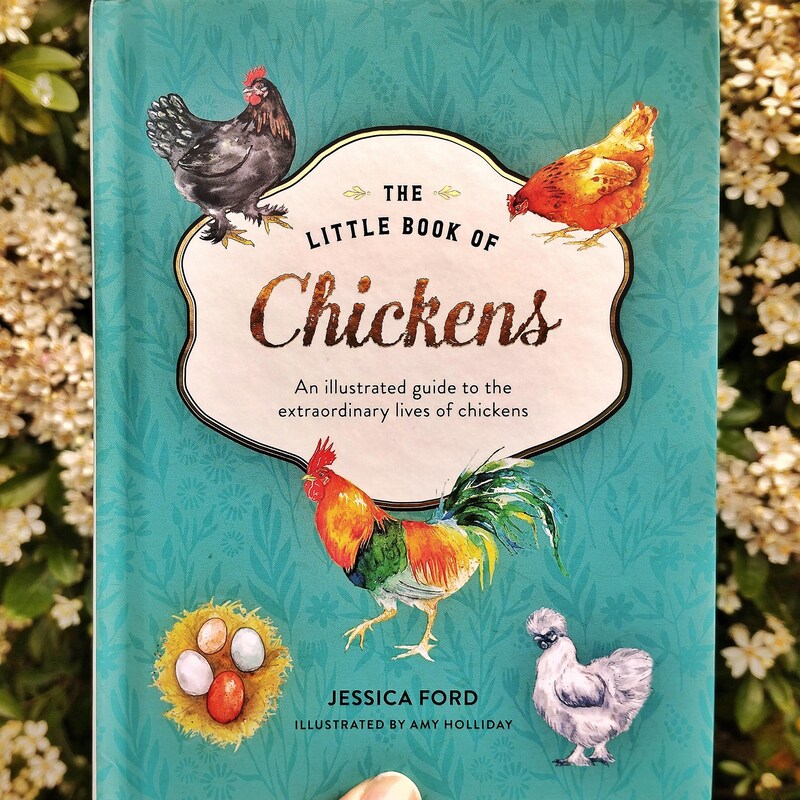 Chicken Little Book - Etsy