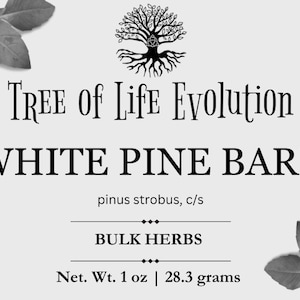 White Pine Bark | Pinus Strobus - Etsy