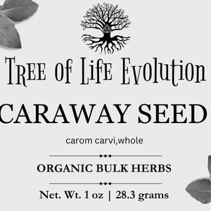 Caraway Seed | Organic Caraway Seed | Carum Carvi - Etsy