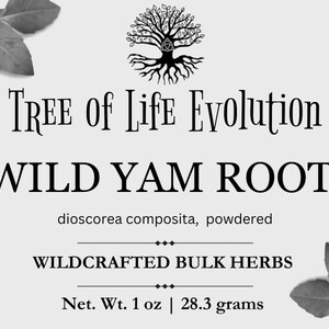 Wild Yam Root Powder | Wildcrafted Wild Yam Root Powder | Colic Root ...