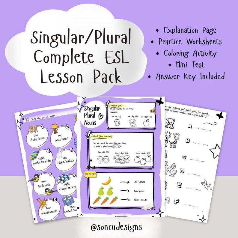 Singular and Plural ESL Worksheets | Nouns Practice | Complete ESL ...