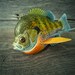 Greg Pususta Bluegill Fish Decoy - Etsy