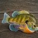 Greg Pususta Bluegill Fish Decoy - Etsy