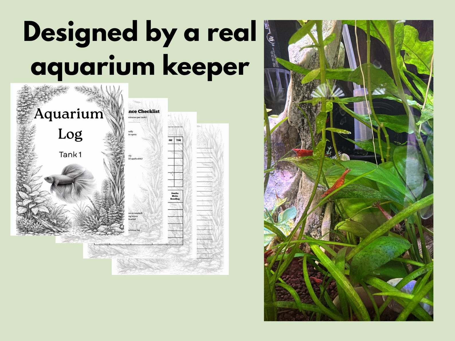 Aquarium Log & Maintenance Checklist | Aquascaping and Fish Tank ...
