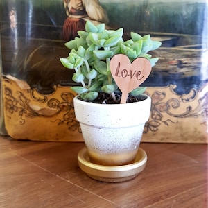 Wedding Favors - Love Planter Stakes - Rustic Wedding Favors ...