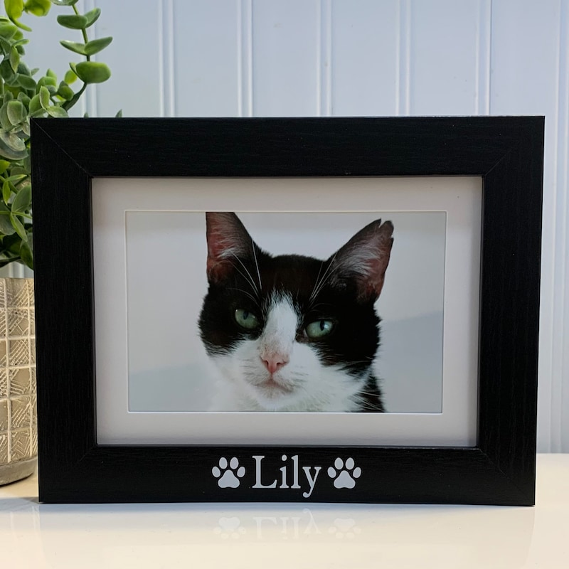 8x10 Pet Frame - Etsy