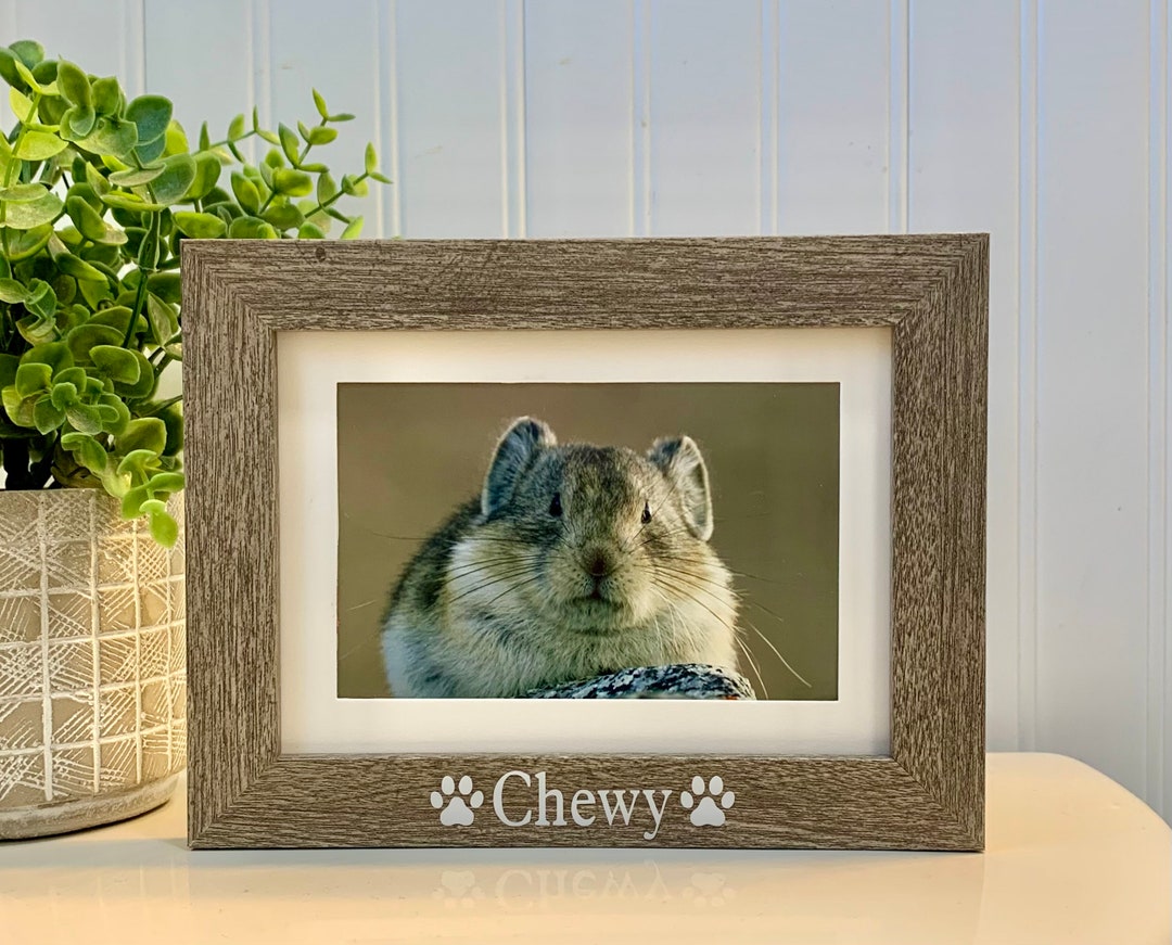 HAMSTER NAME GIFT, Hamster Gift, Hamster Frame, Hamster Picture Frame ...