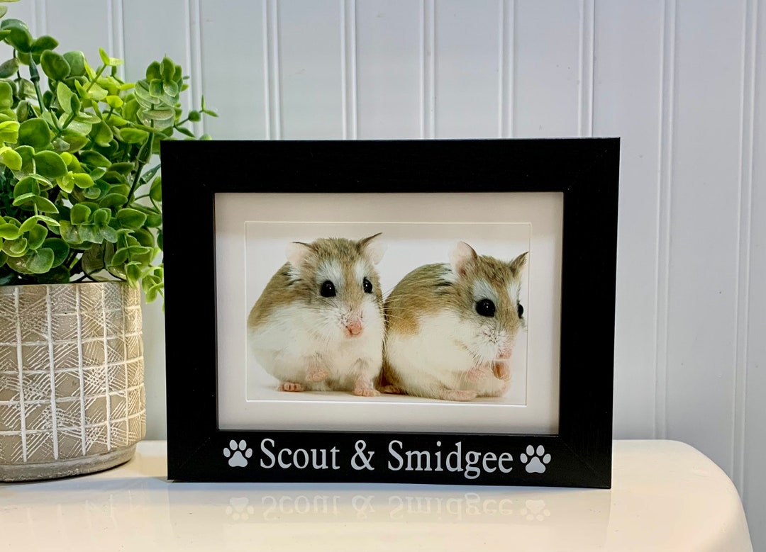 HAMSTERS NAME GIFT, Hamsters Gift, Hamsters Frame, Hamsters Picture ...