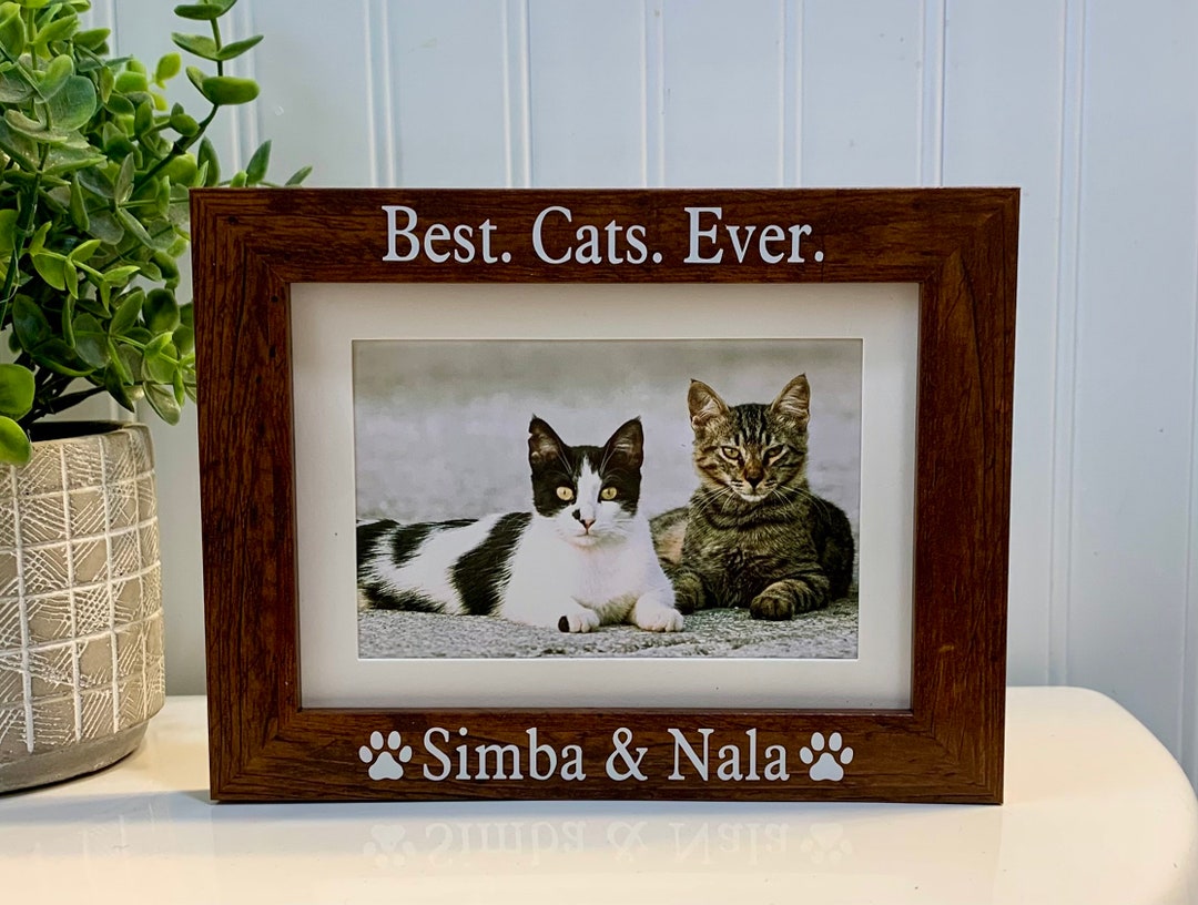 BEST CATS EVER Gift, Cat Gift, Cat Frame, Cat Picture Frame, Cat Photo ...