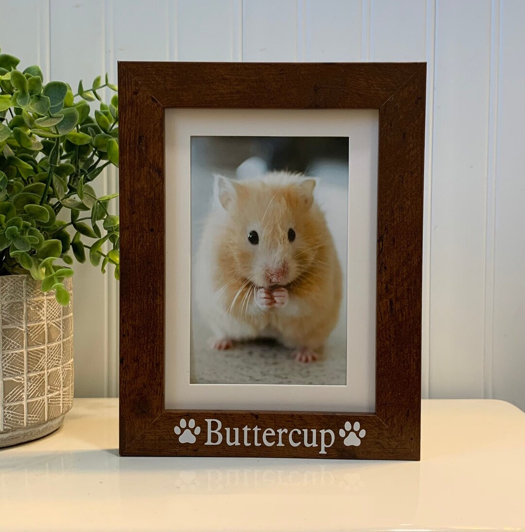 HAMSTER NAME GIFT, Hamster Gift, Hamster Frame, Hamster Picture Frame ...