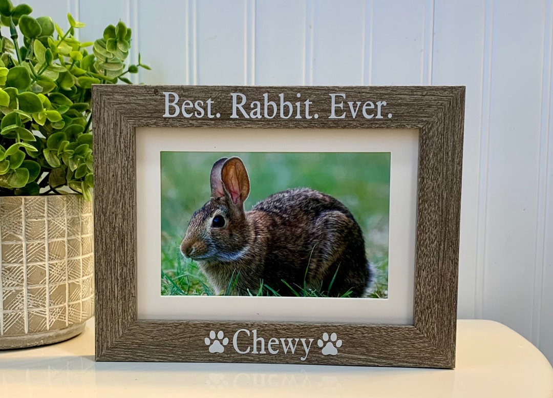 BEST RABBIT EVER Gift, Rabbit Gift, Rabbit Frame, Rabbit Picture Frame ...