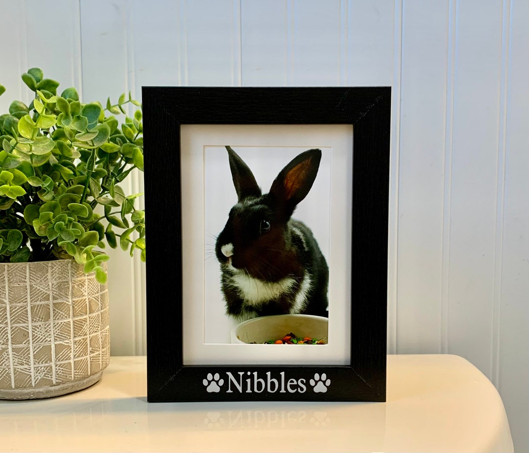 RABBIT NAME GIFT, Rabbit Gift, Rabbit Frame, Rabbit Picture Frame ...