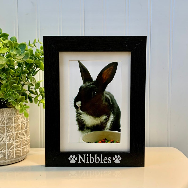 Rabbit Picture - Etsy