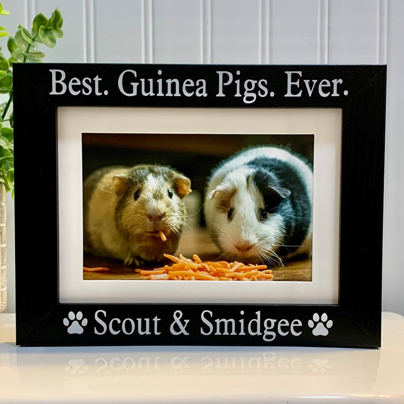 Pig Picture Frame Ornament - Etsy