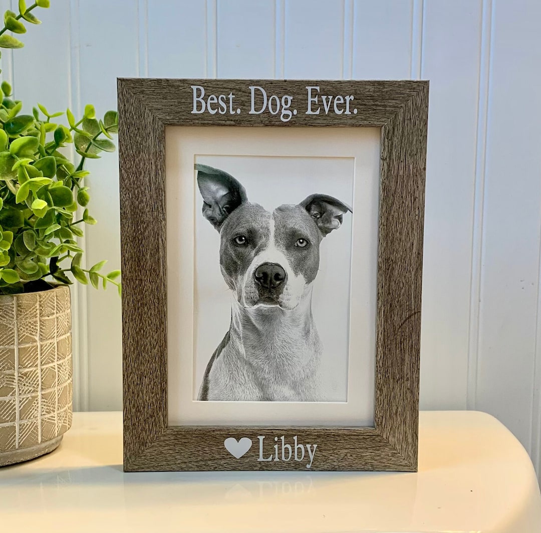 BEST DOG(S) EVER Gift, Dog Gift, Dogs Frame, Dog Picture Frame, Custom ...