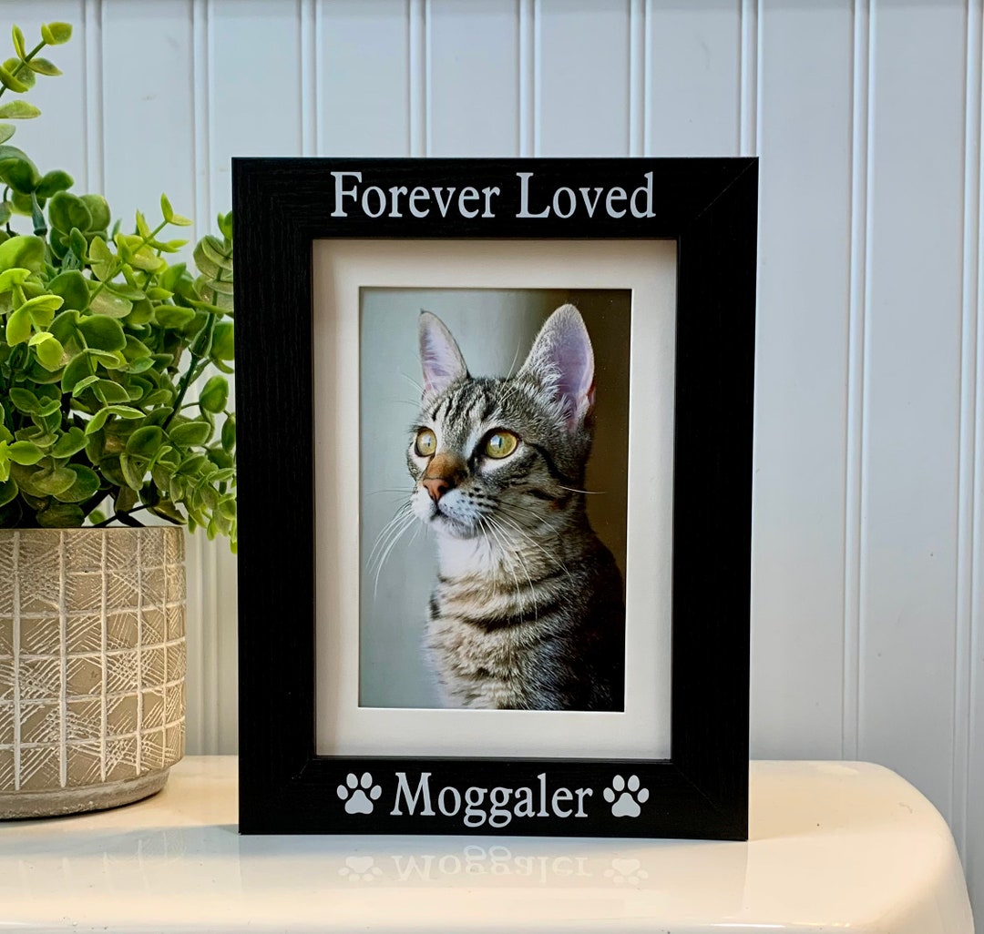 FOREVER LOVED, Cat Memorial Gift, Cat Remembrance Frame, Cat Loss ...