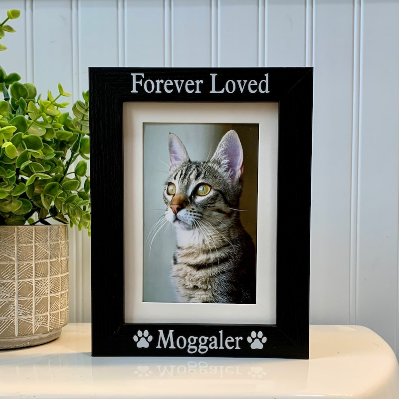 Frames for Loss of Cat - Etsy