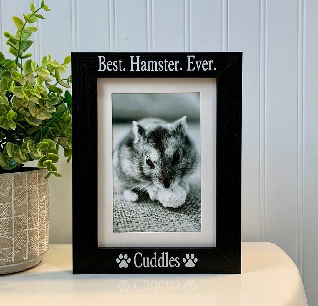 BEST HAMSTER EVER Gift, Hamster Gift, Hamster Frame, Hamster Picture ...