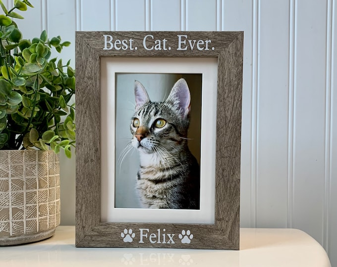 Cute Framed Picture of Cat in the Litterbox,cat Lover, Family Cat, Cat ...