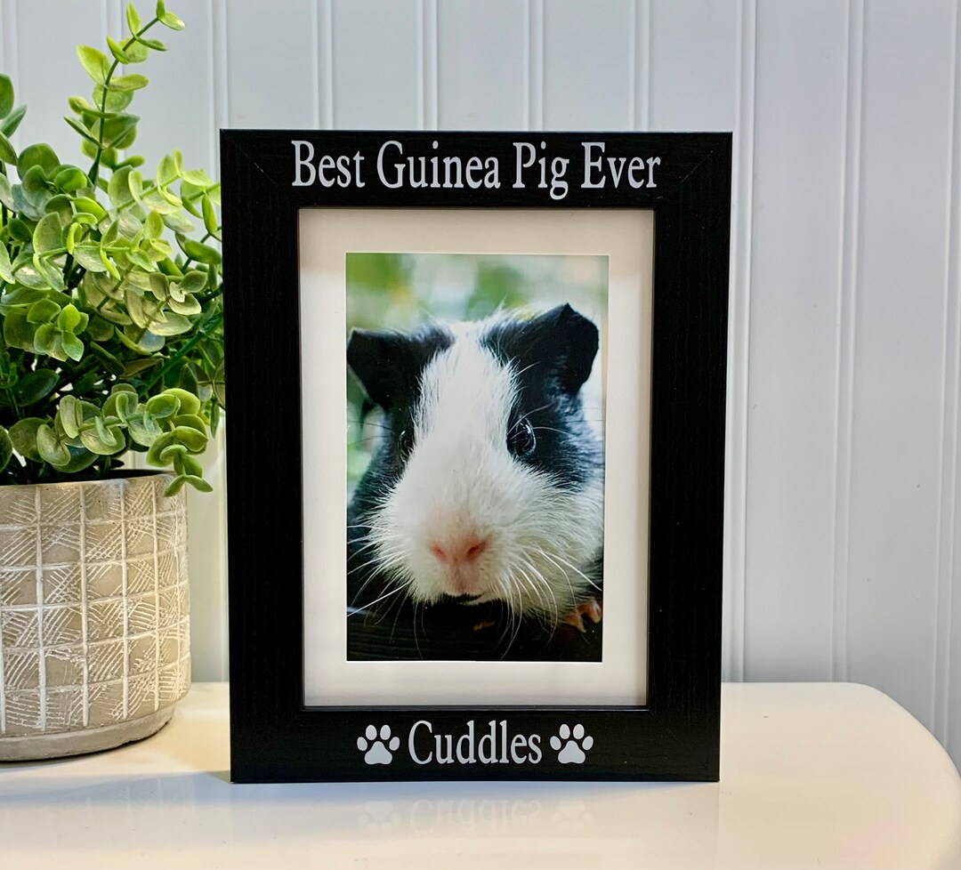 BEST GUINEA PIG Ever Gift, Guinea Pig Frame, Guinea Pig Photo Frame ...