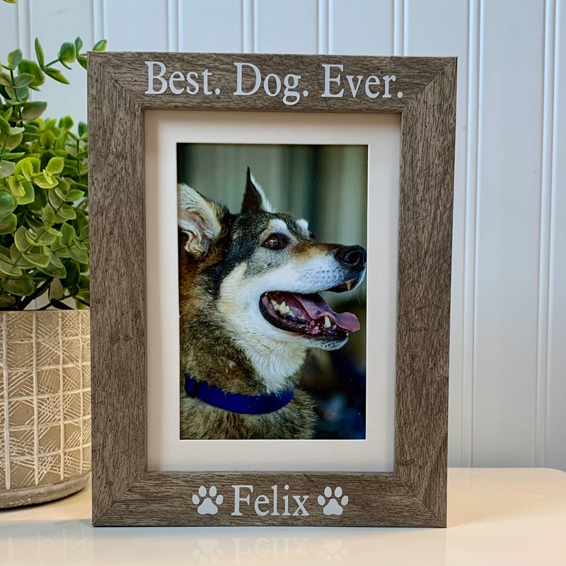 Dog Pictures - Etsy