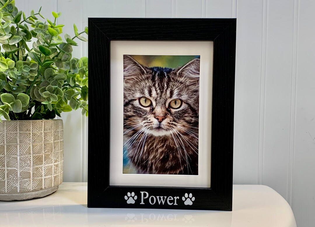 CAT NAME GIFT, Cat Gift, Cat Frame, Cat Picture Frame, Cat Photo Frame ...