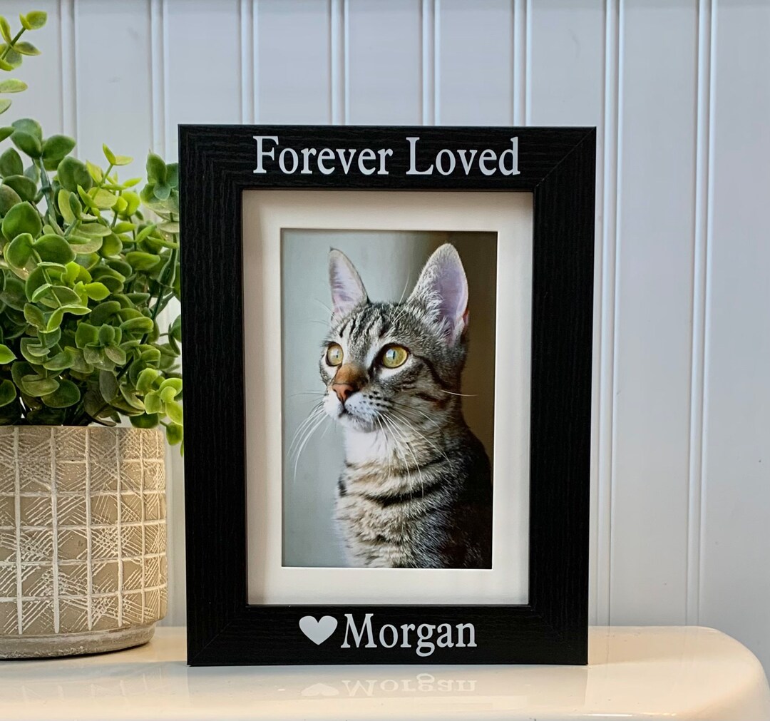 FOREVER LOVED, Cat Gift, Cat Frame, Cat Picture Frame, Cat Photo Frame ...