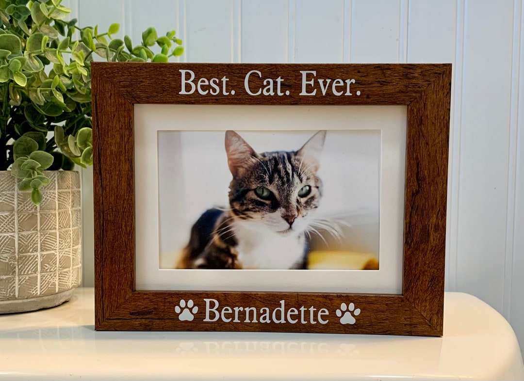 BEST CAT EVER Gift, Cat Gift, Cat Frame, Cat Picture Frame, Cat Photo ...
