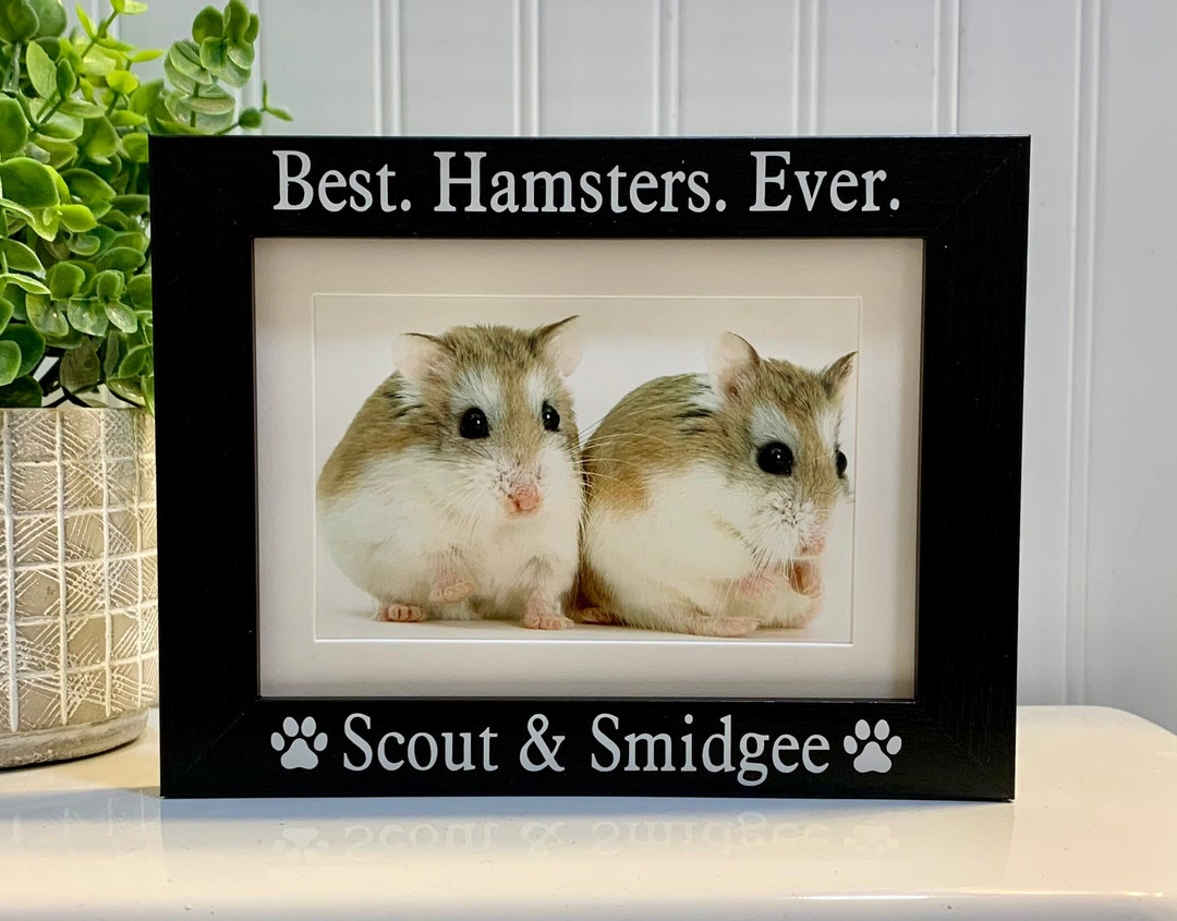 BEST HAMSTERS EVER Gift, Hamster Gift, Hamster Frame, Hamster Picture ...