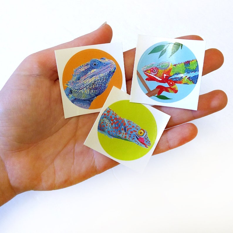 10 Vinyl Reptile Stickers Snakes Lizards and Turtles With - Etsy