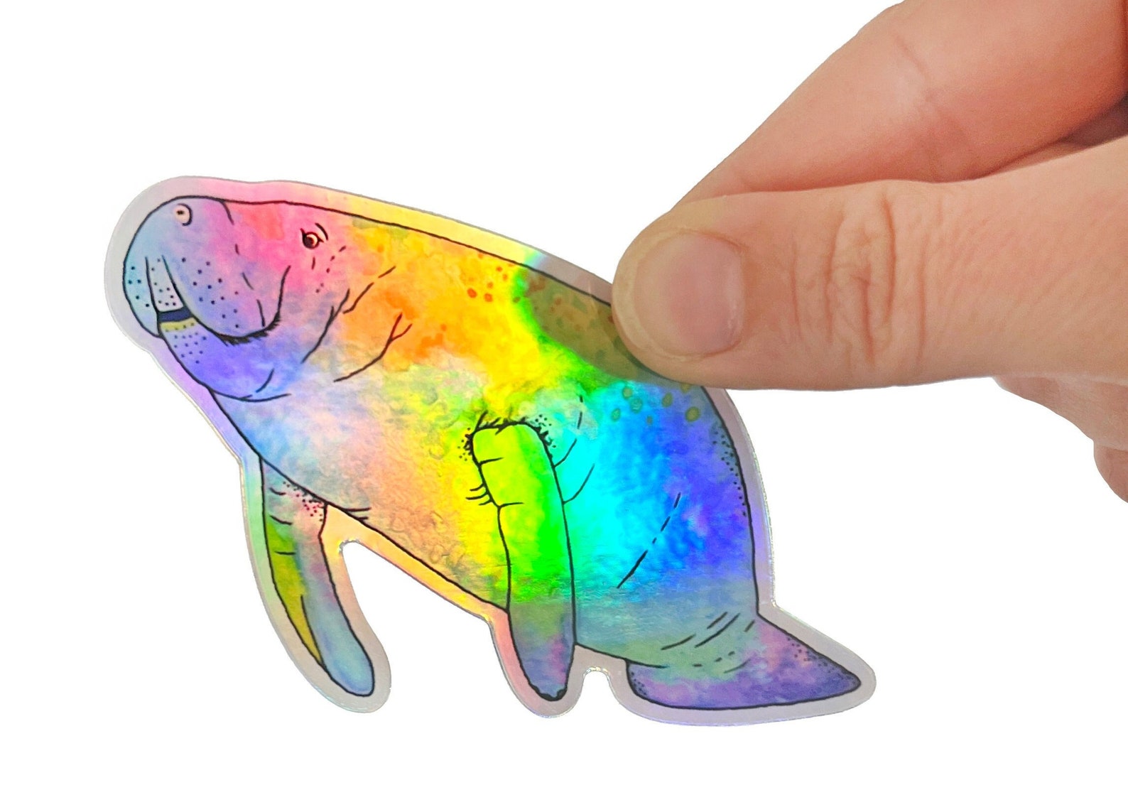 Manatee Sticker Vinyl Animal Holographic Sticker Wildlife - Etsy
