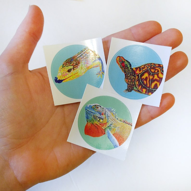 10 Vinyl Reptile Stickers Snakes Lizards and Turtles With - Etsy