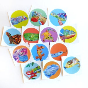 10 Vinyl Reptile Stickers Snakes Lizards and Turtles With - Etsy