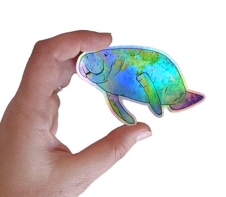 Manatee Sticker Vinyl Animal Holographic Sticker Wildlife - Etsy