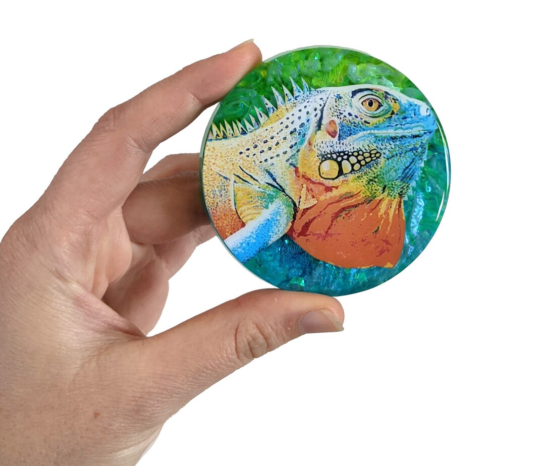 Iguana Magnet, Fun Lizard Magnet, Cute Reptile Magnet, Resin Fridge ...