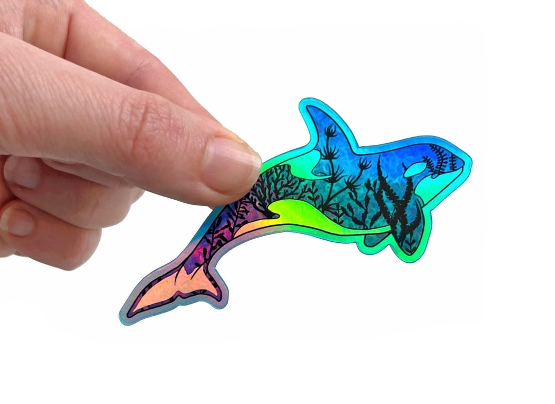Orca Sticker Killer Whale Sticker Vinyl Animal Holographic - Etsy